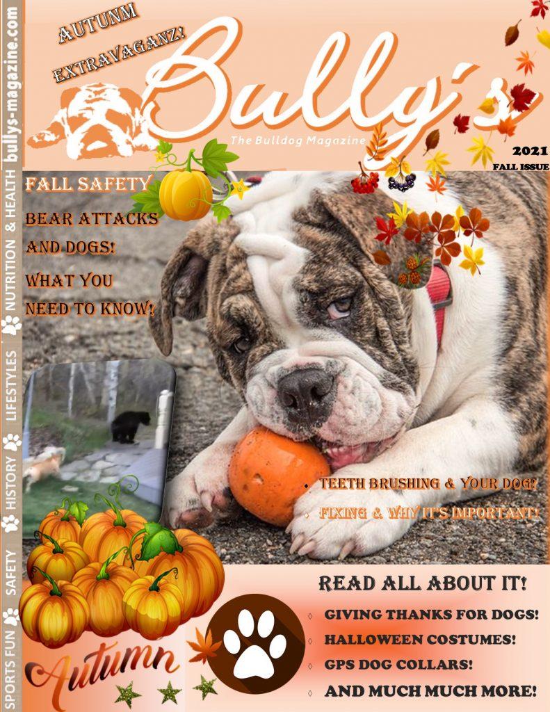 Bully’s – The Bulldog Magazine by the OHF’s Hart family