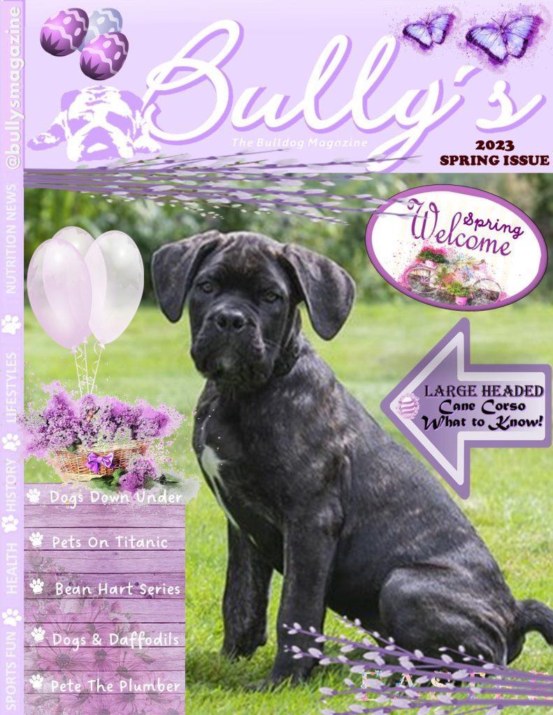 Bully’s – The Bulldog Magazine by the OHF’s Hart family