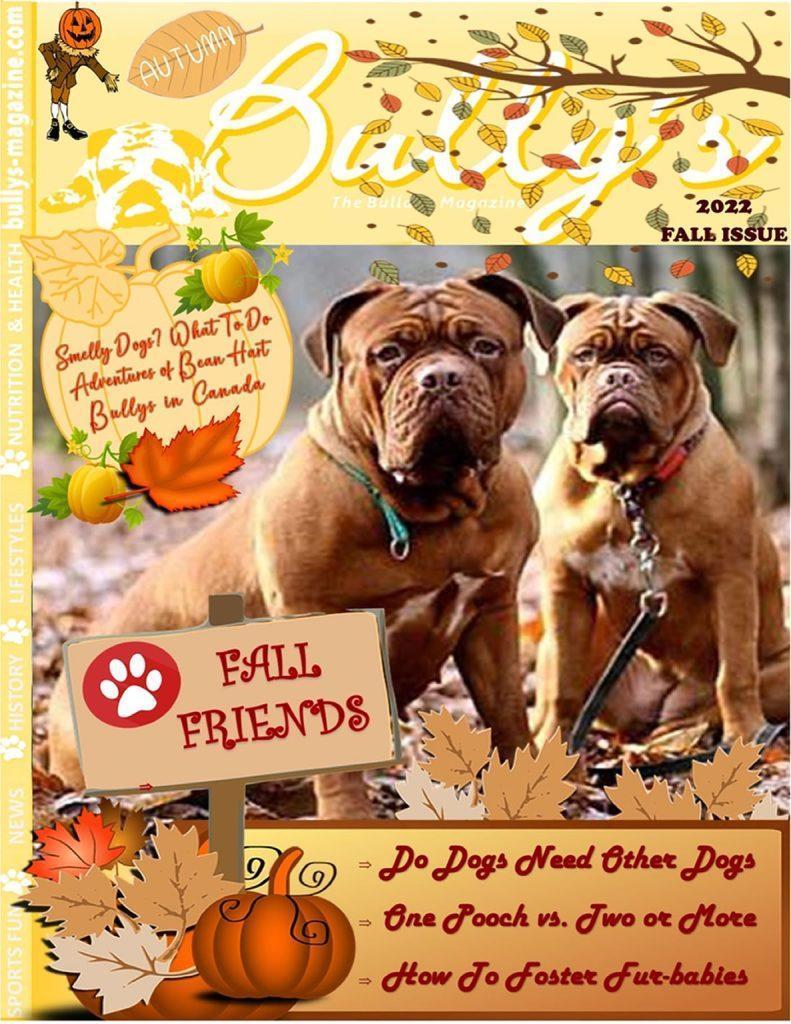 Bully Dog Magazine - Owen Hart Foundation